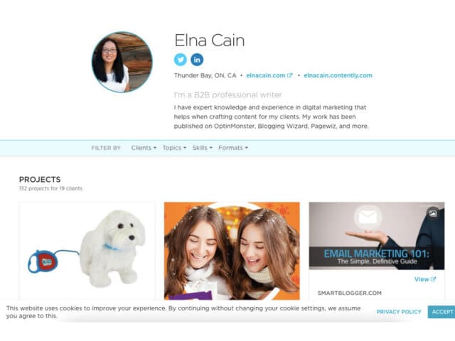 How to Create Your Writing Portfolio from Scratch - Elna Cain