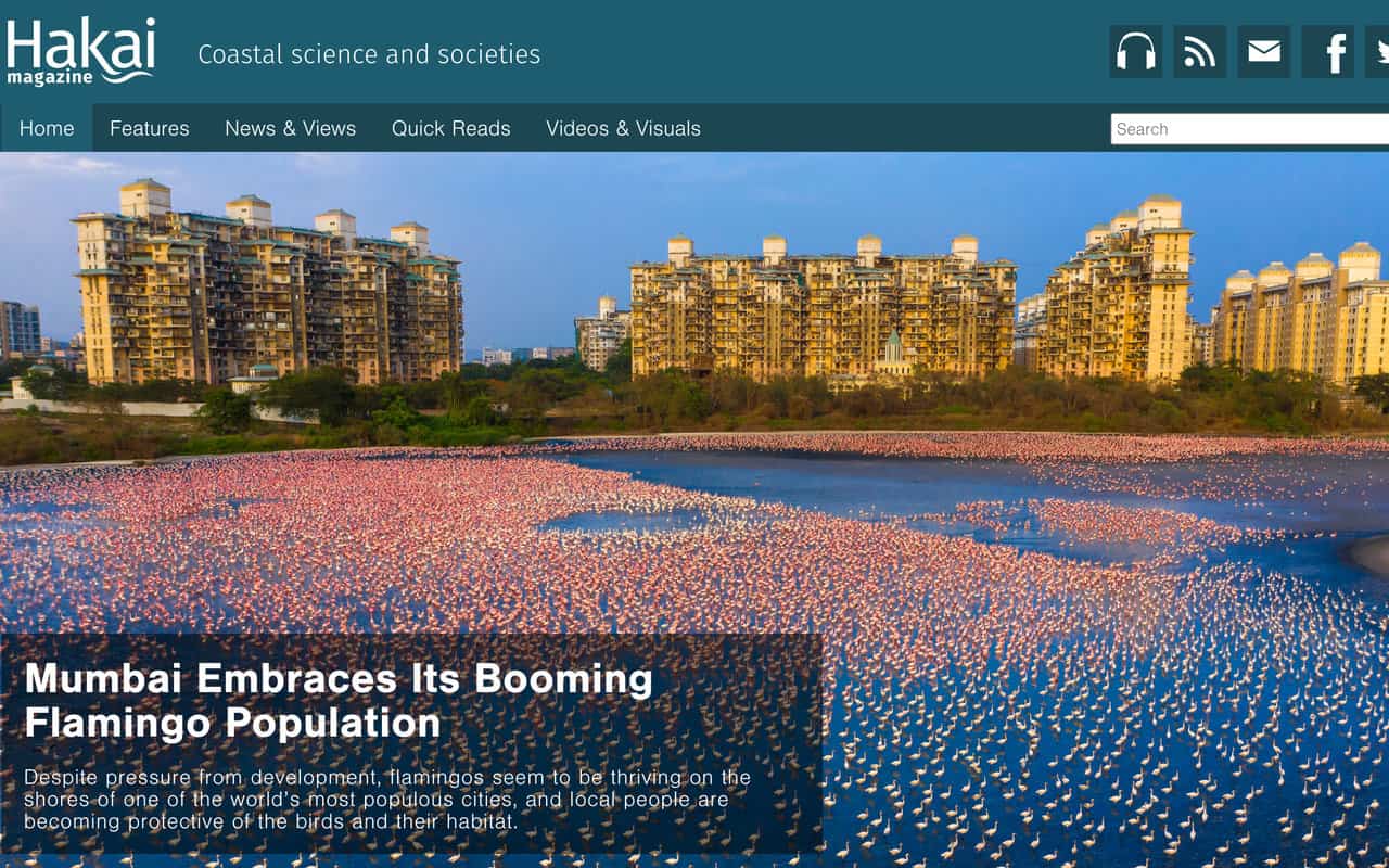 12 Easy Environmental Writing Jobs That Pay Up to $3,900 Per Post! - Elna Cain